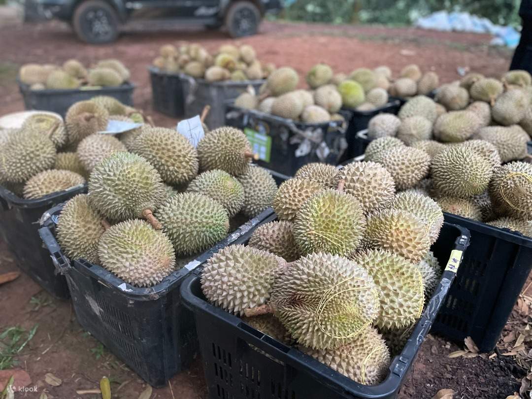 Durian For You Delivery in Klang Valley